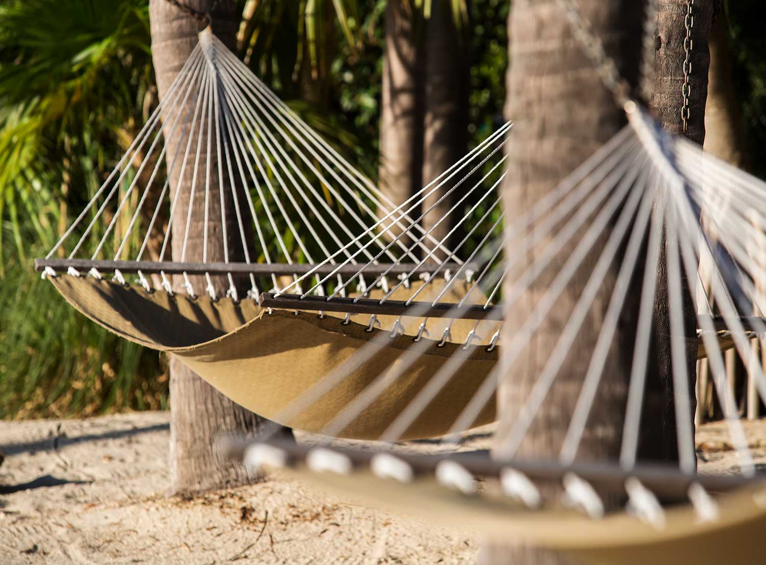 Club Playa: Relaxation Spot for Hammocks & Snacks in The Keys | Playa ...