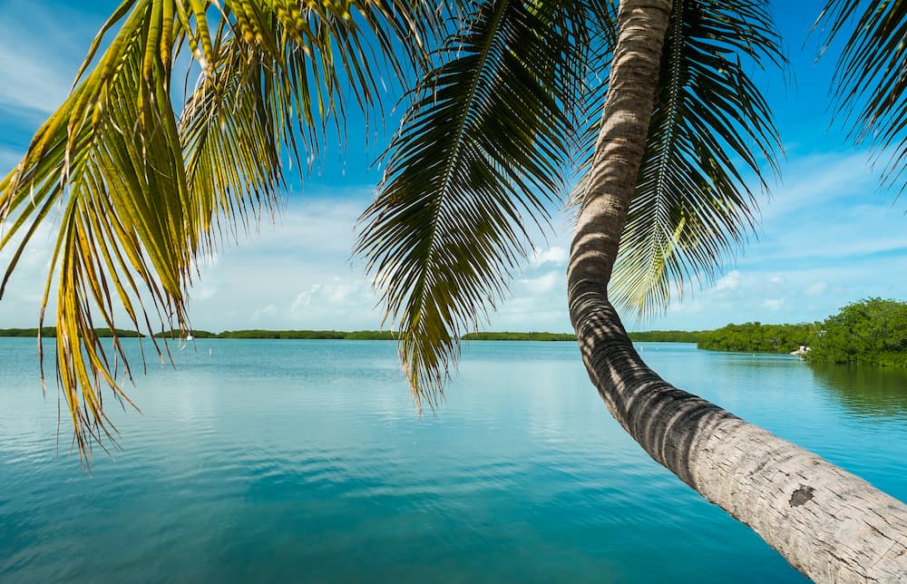 Oceanfront vs Beachfront: What's the Difference? | Playa Largo Ocean ...